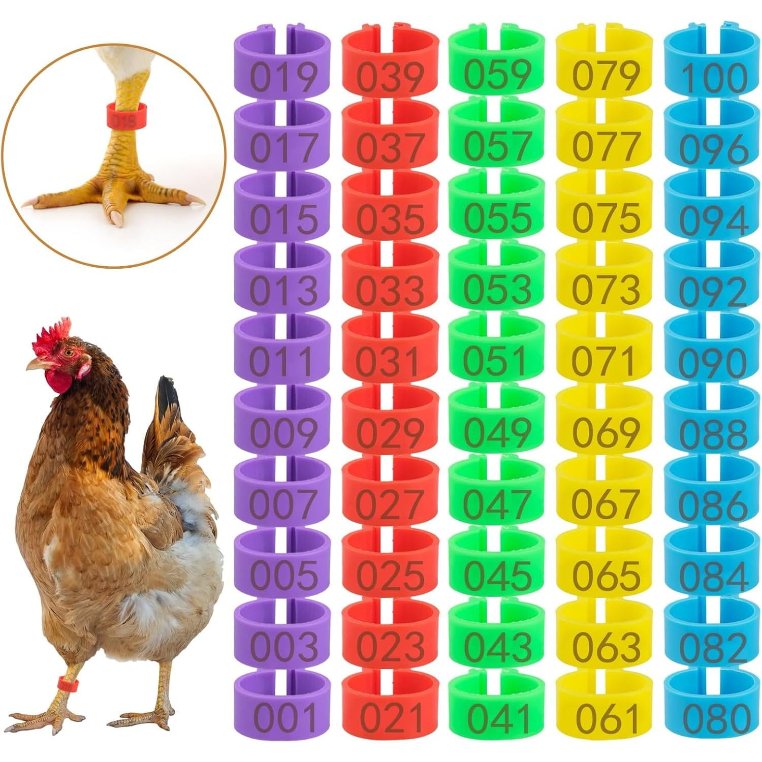 Chicken Leg Rings, 100pcs Colorful 16mm Poultry Foot Rings with 5 ...