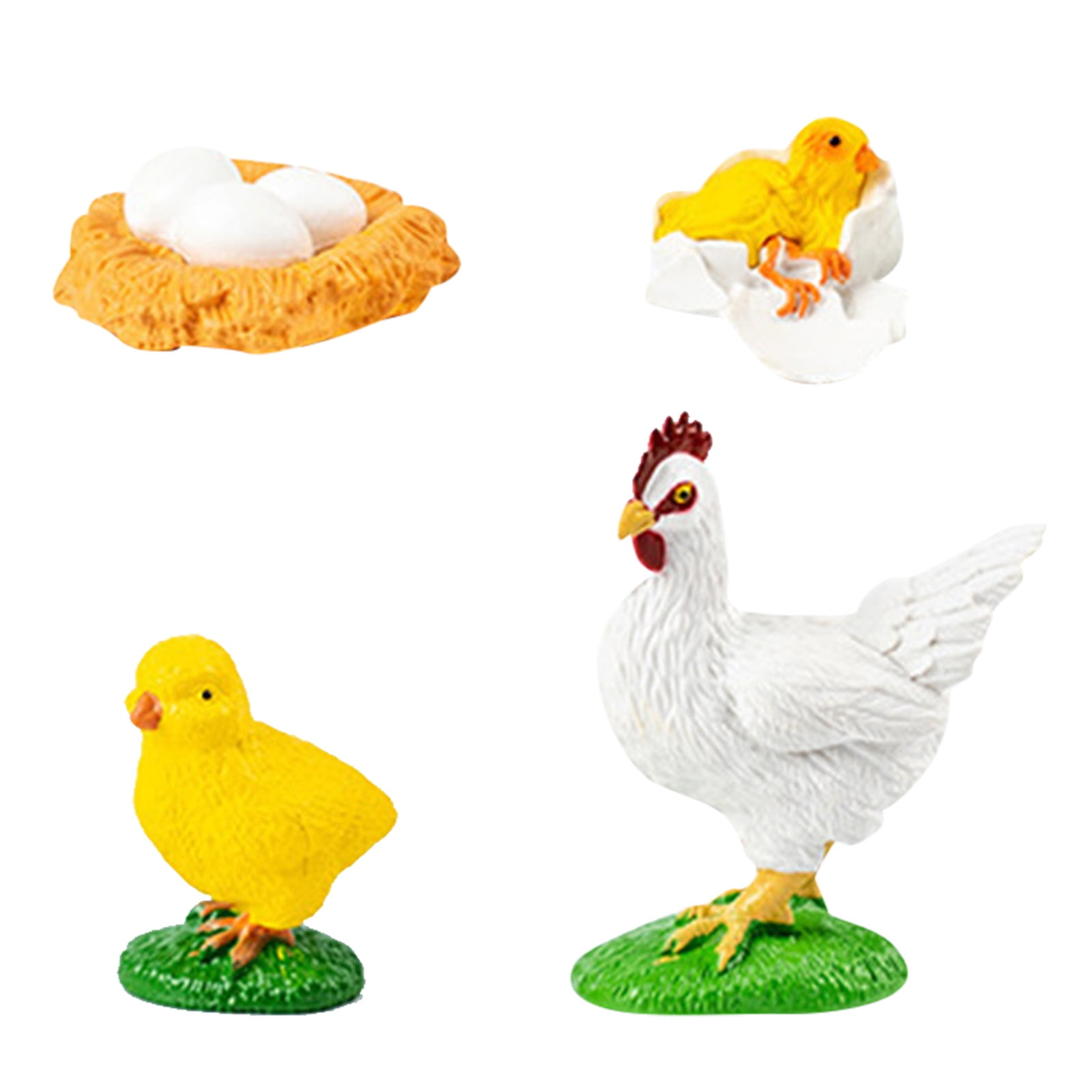 Chicken Life Cycle Of A Growth Stage Model Educational Growth Cycle Toy ...