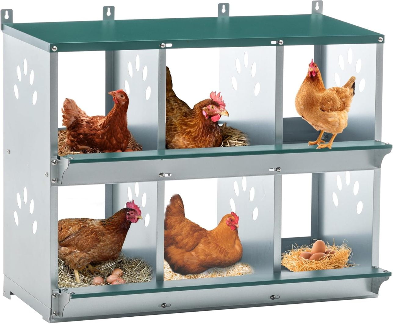 Chicken Nest Box, 6 Compartment Nesting Box, 6 Room Metal Nesting Boxes ...