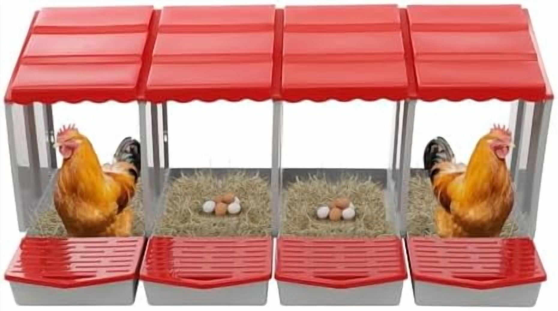 Chicken Nest Boxs - 4 Compartment Poultry Nest Box, Chicken Laying Box ...