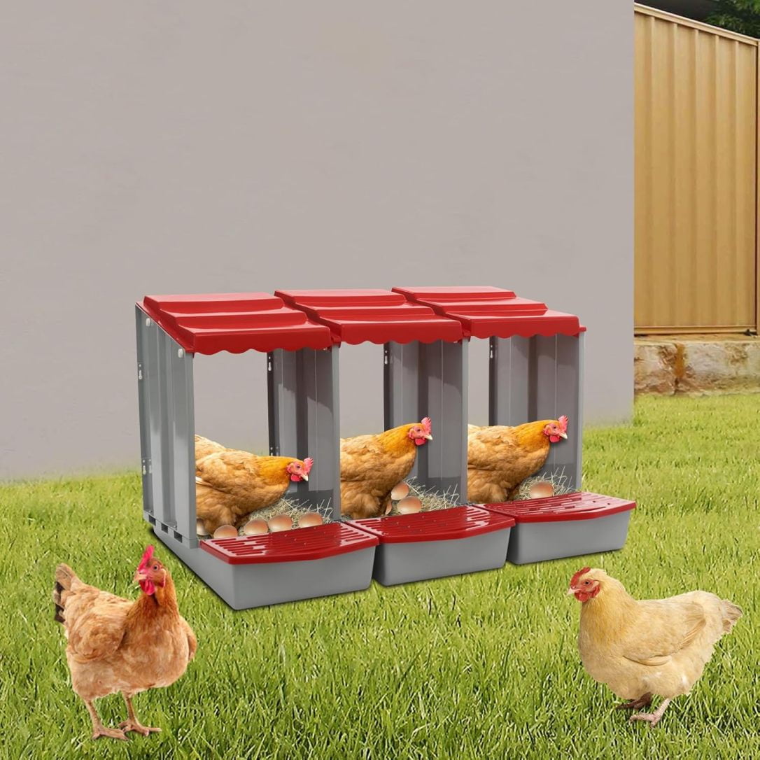 Chicken Nesting Box, 3 Compartments PP Nesting Box, Wall Mountable ...