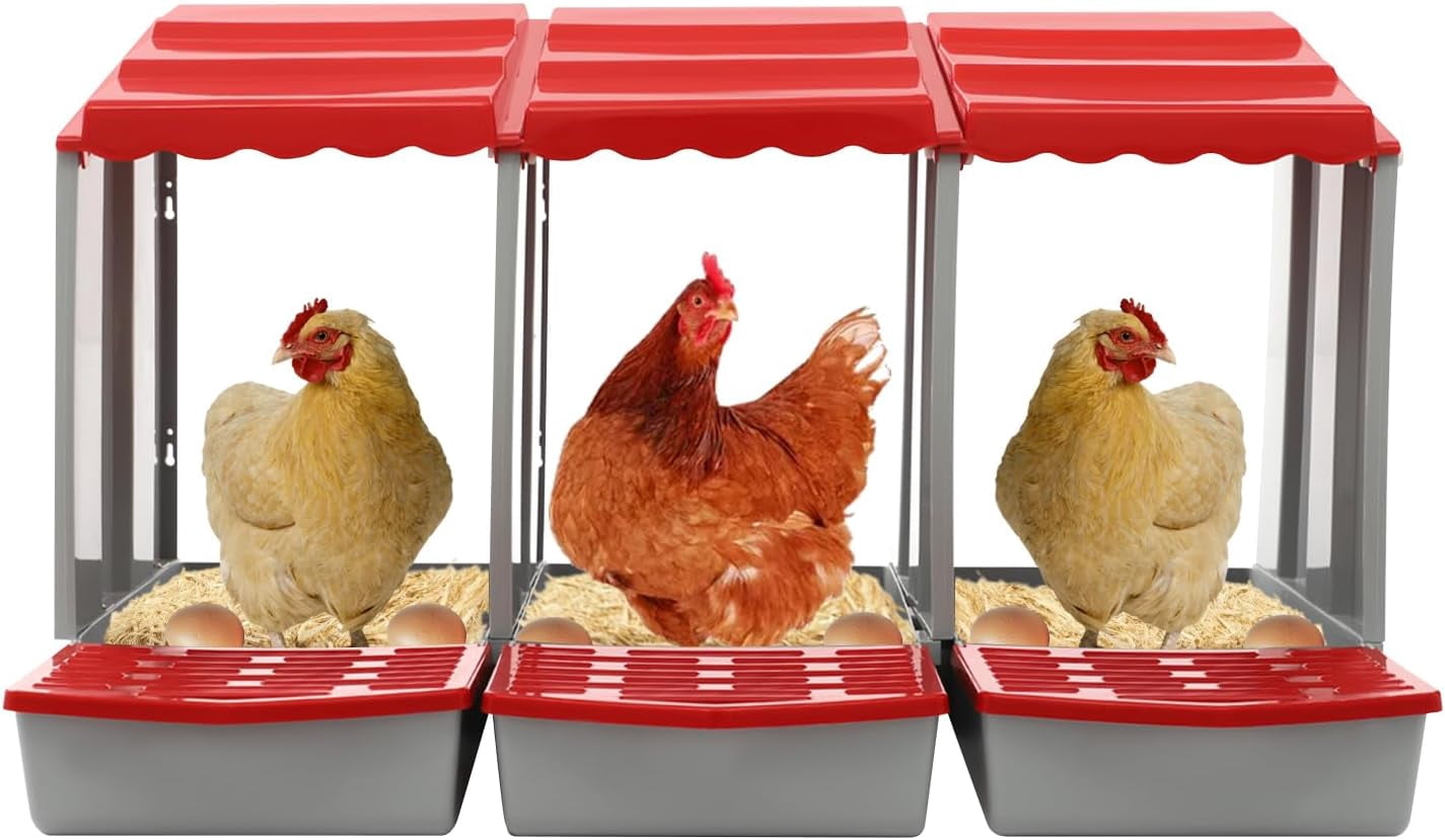 Chicken Nesting Box 3 Hole Nesting Box for Chicken Coop Rolling Egg ...