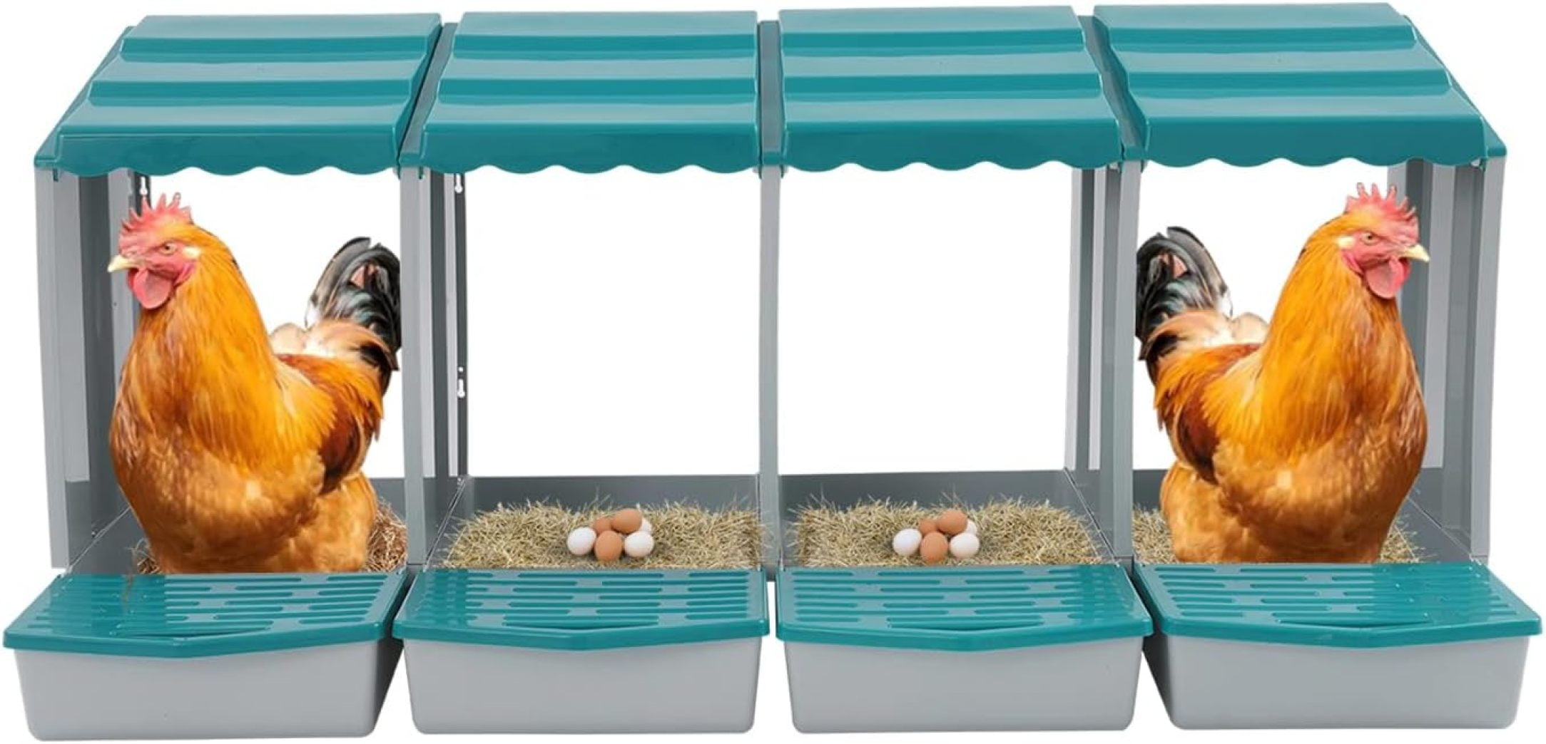 Chicken Nesting Box, 4 Hole Plastic Nesting Boxes for Chickens, Chicken ...