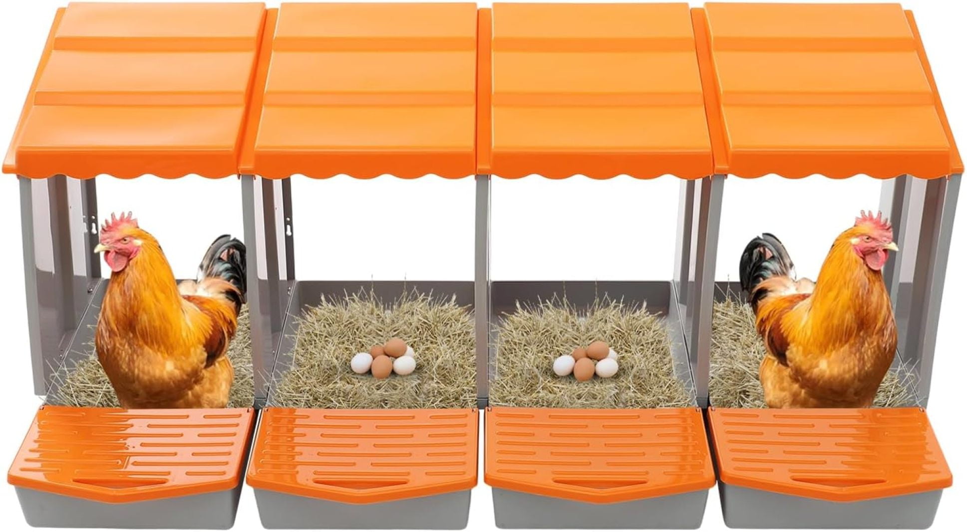 Chicken Nesting Box, 4 Hole Rollout Nesting Box, Compartments Laying ...