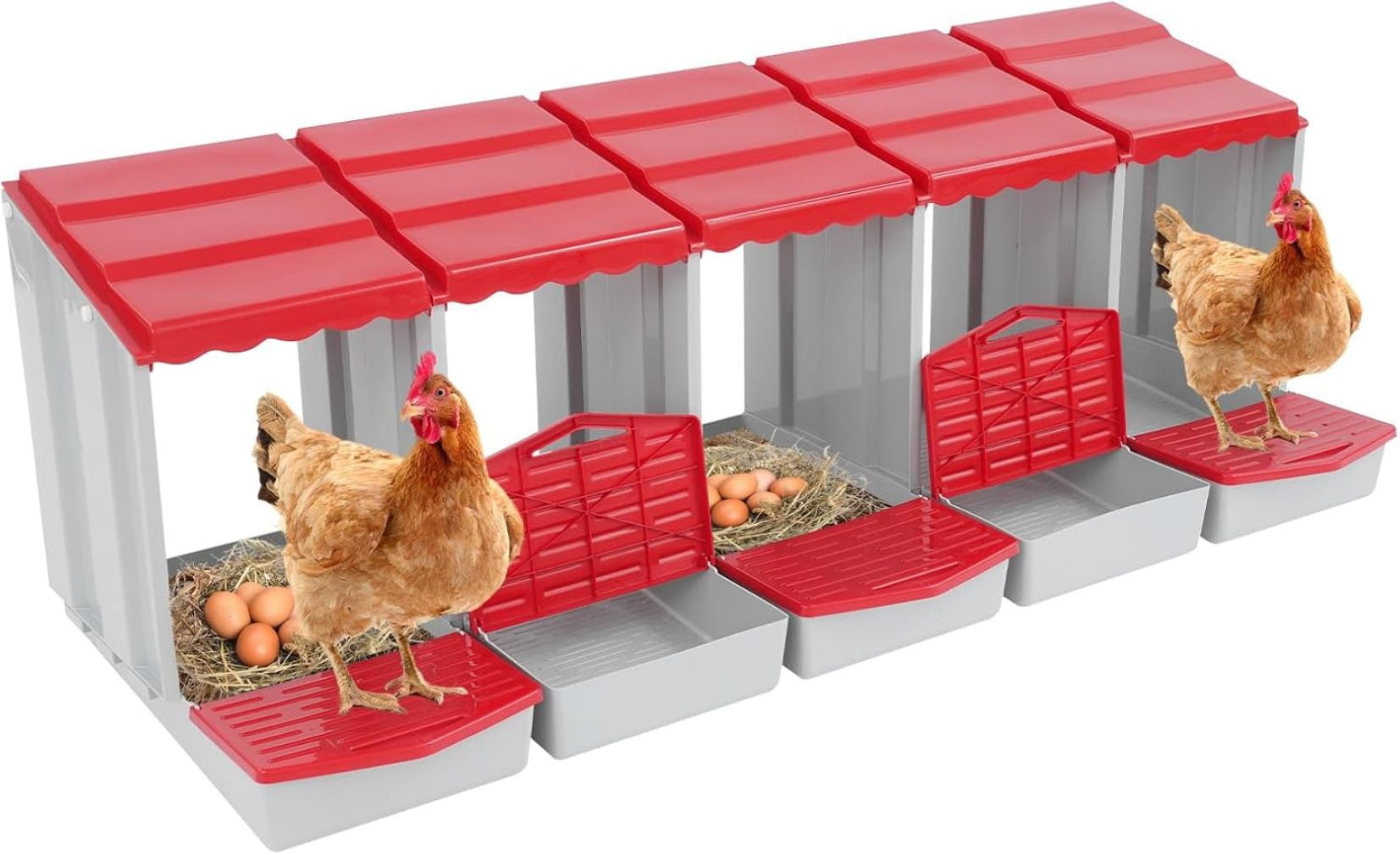 Chicken Nesting Box, 5 Hole Rollout Nesting Box, Compartments Laying ...
