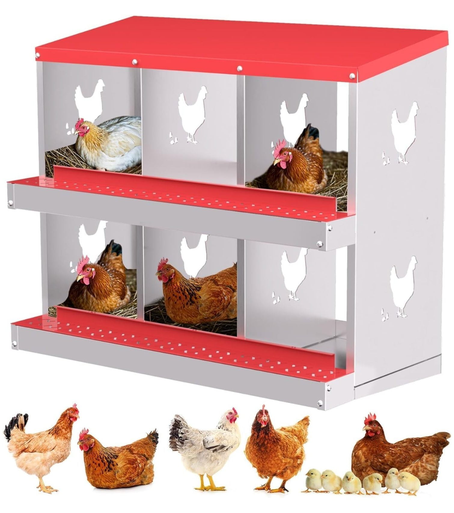Chicken Nesting Box 6 Compartments Laying Boxes, Metal Chicken Egg ...