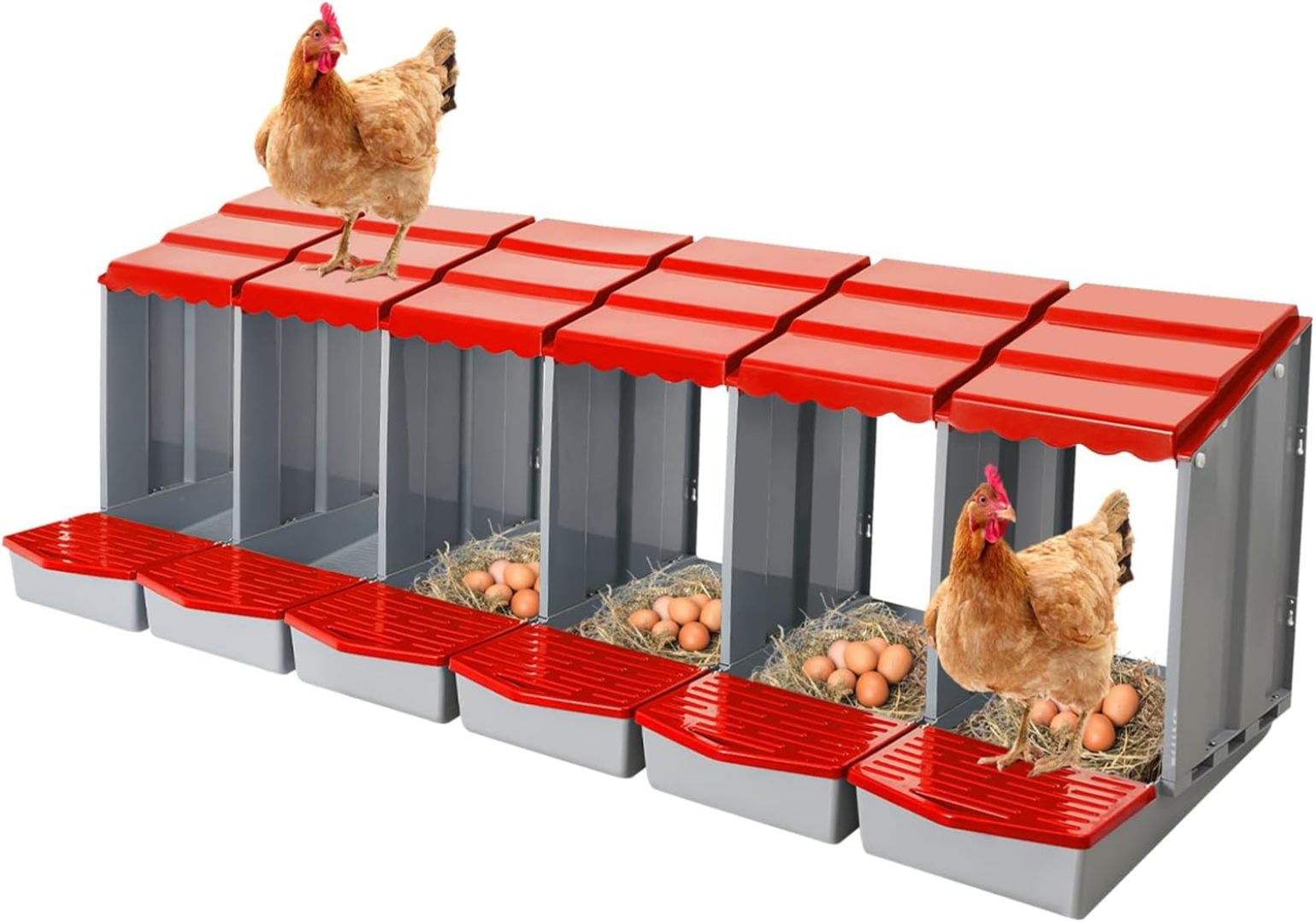 Chicken Nesting Box, 6 Hole Rollout Nesting Box, Compartments Laying ...