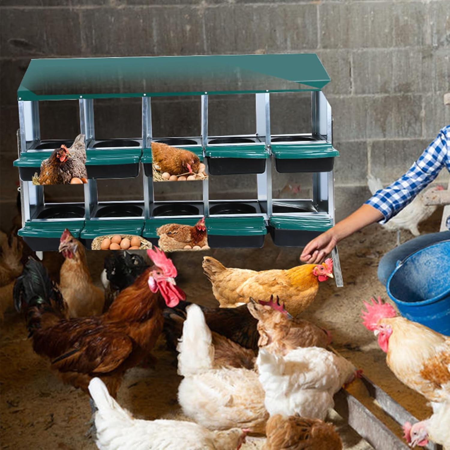 Chicken Nesting Box, 8 or 10 Hole 2 Layer Hen Nest Boxes with Legs ...