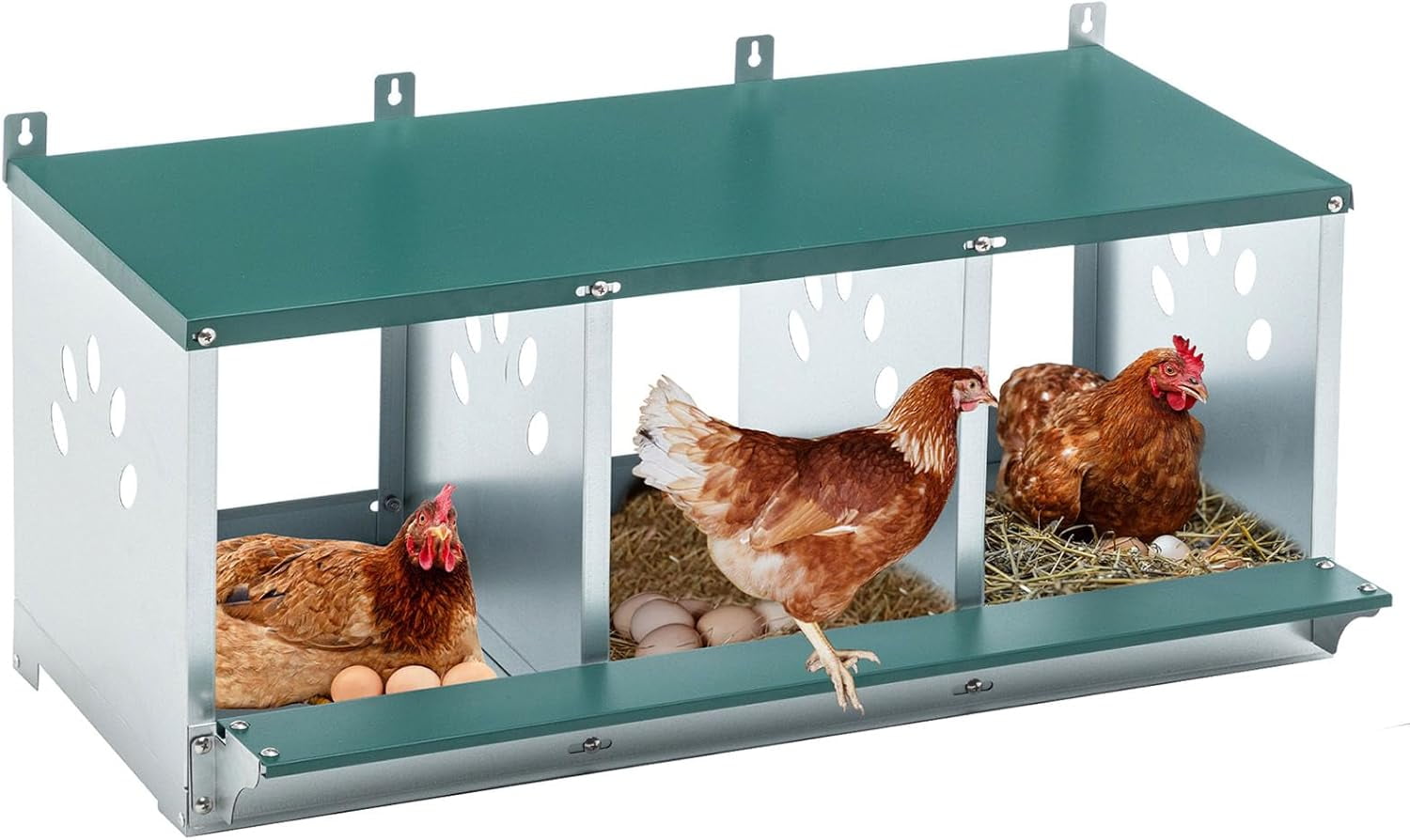 Chicken Nesting Box for Laying Eggs - 3 Room Chicken Laying Boxes ...