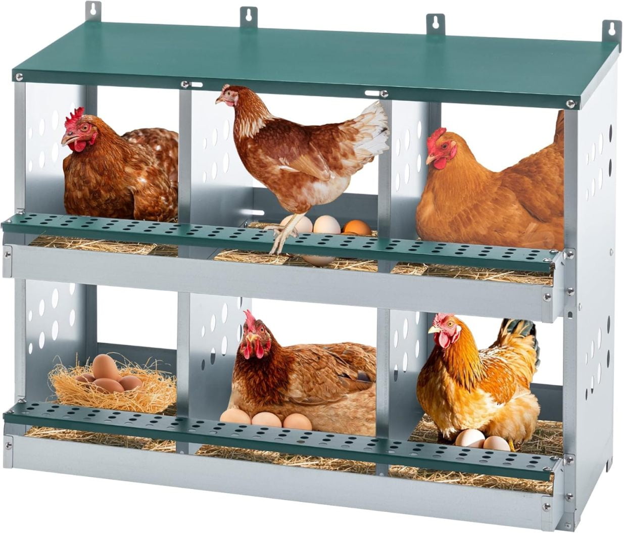 Chicken Nesting Box for Laying Eggs, 6 Rooms Chicken Nesting Boxes,Wall ...