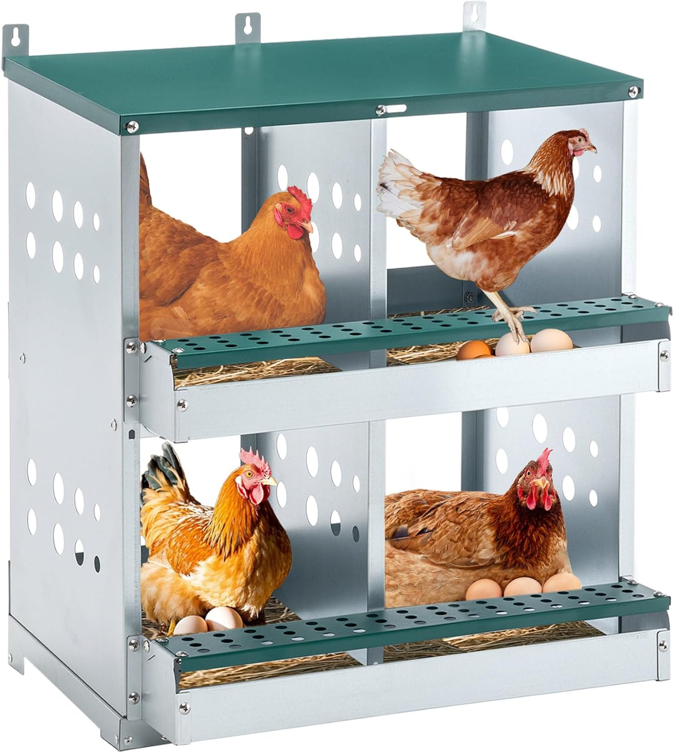 Chicken Nesting Box for Laying Eggs - 8 Room Chicken Laying Boxes ...