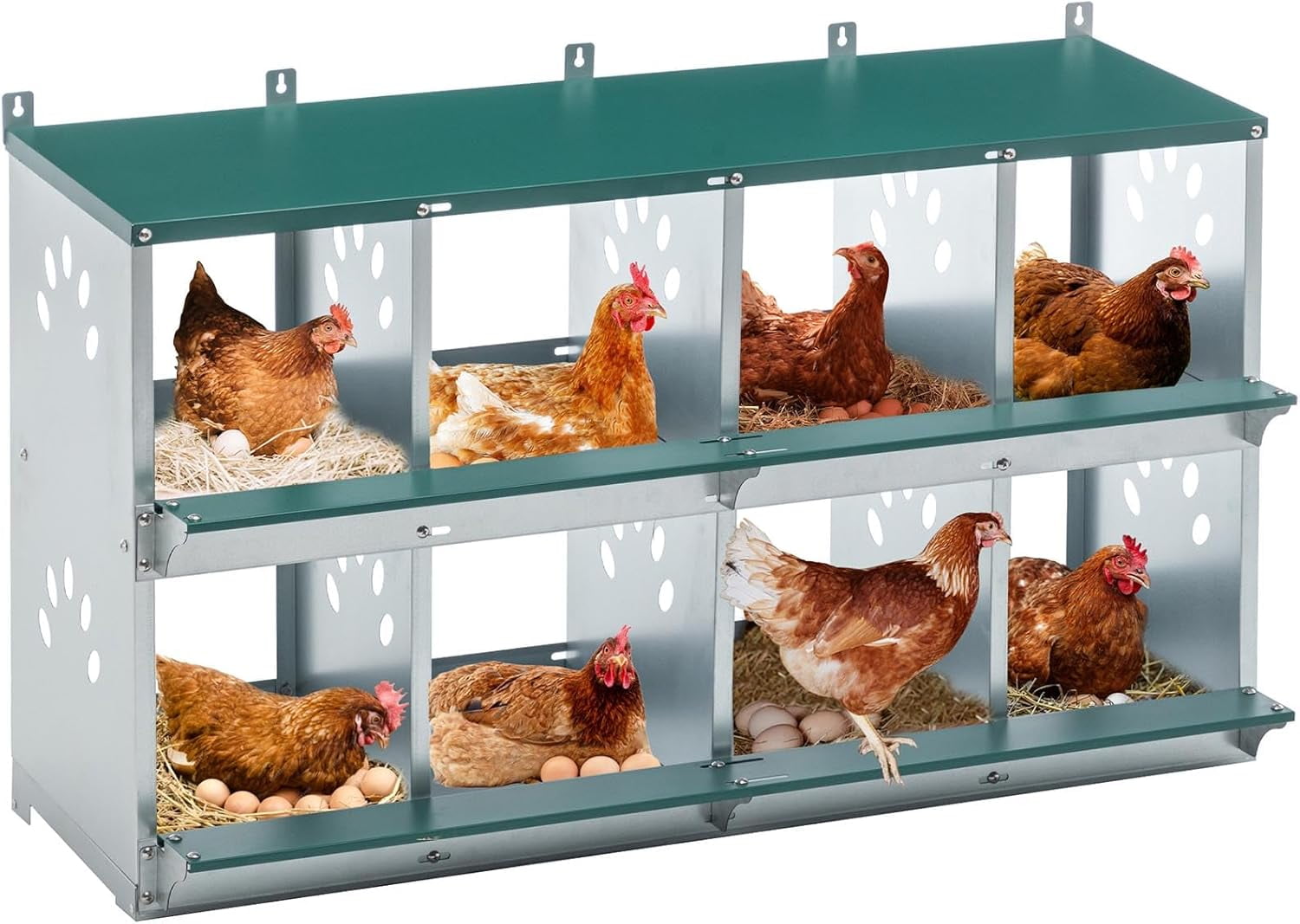 Chicken Nesting Box for Laying Eggs - 8 Room Chicken Laying Boxes ...