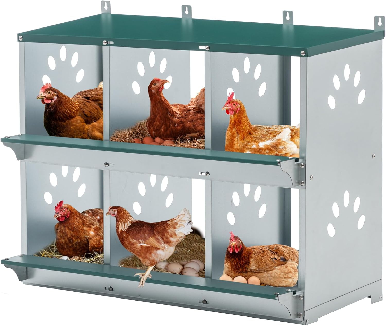 Chicken Nesting Box Metal 6 Compartments Nesting Boxes for Chickens ...