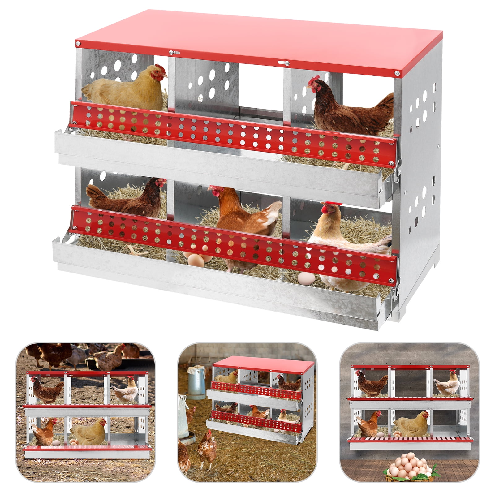 Chicken Nesting Box with 6 Compartments, Galvanized Steel Construction ...