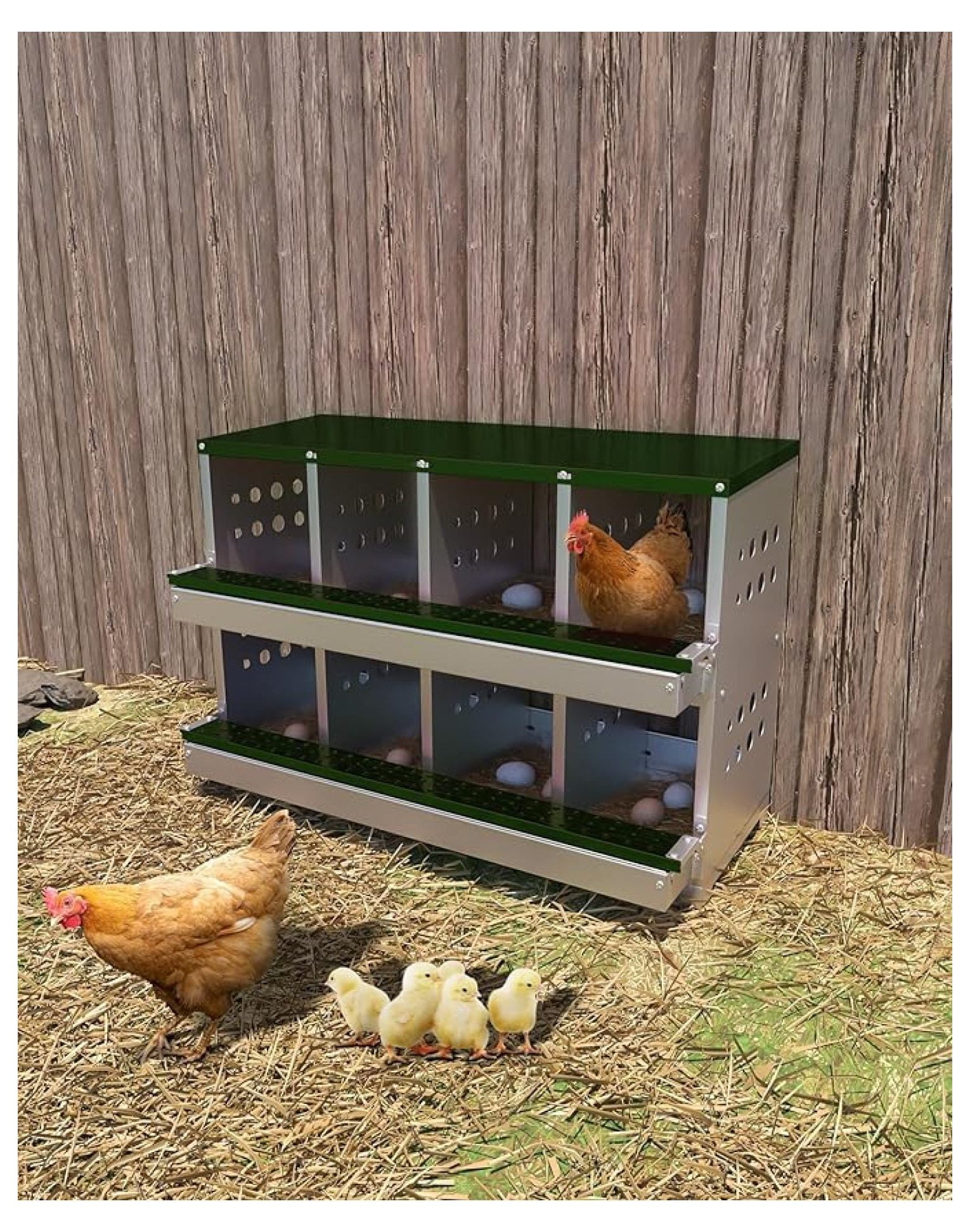 Chicken Nesting Boxes 10 Compartments, Metal Chicken Nesting Boxes ...