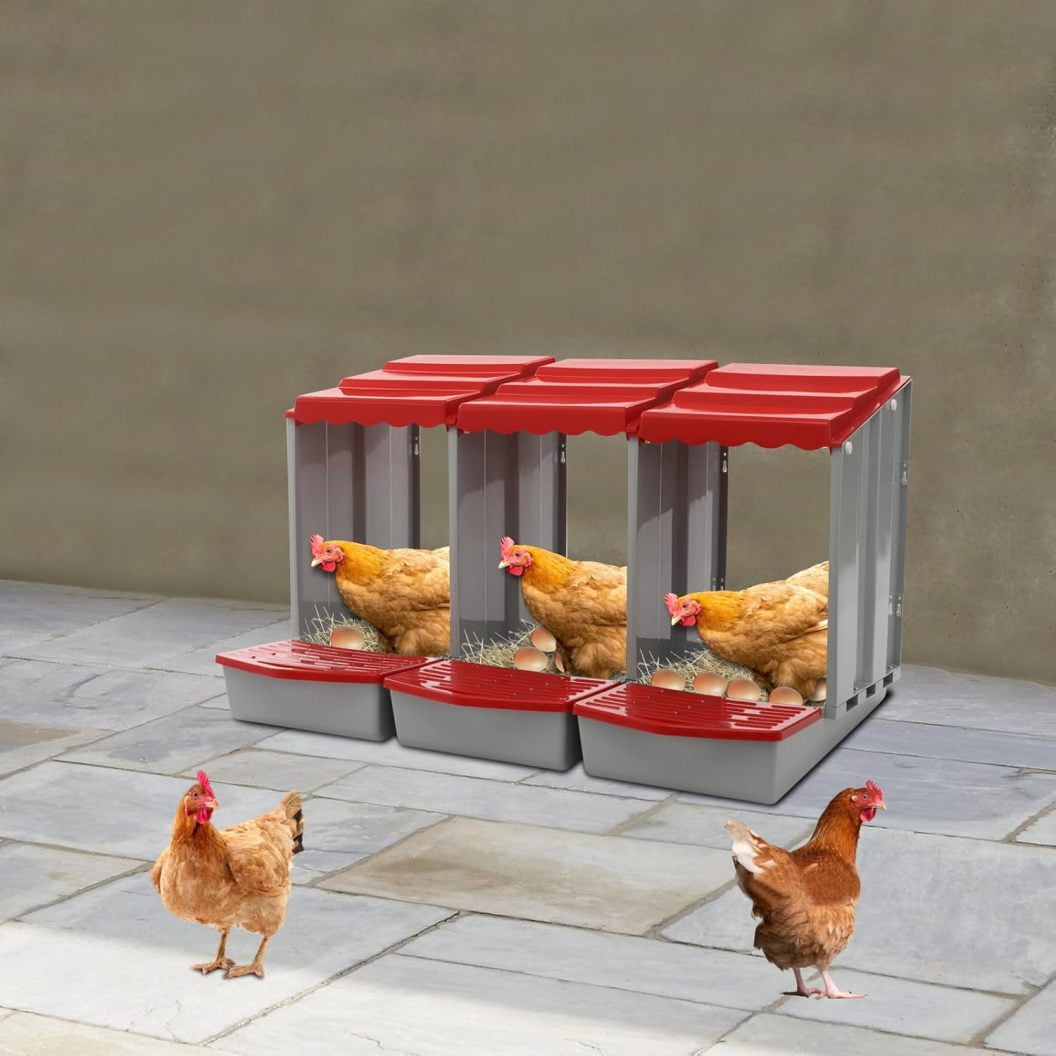 Chicken Nesting Boxes, 3 Holes Wall Mounted Nesting Boxes for Laying ...