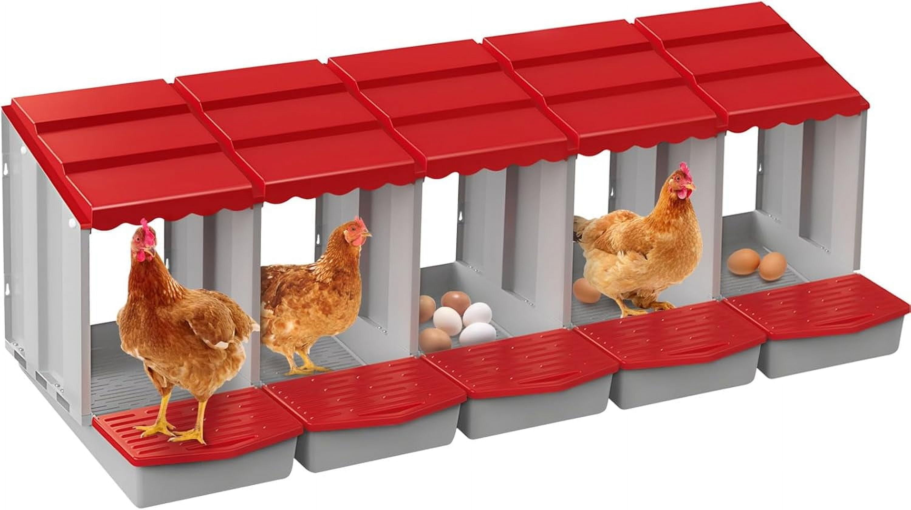 Chicken Nesting Boxes,5 Hole Nesting Box for Chicken Coop, Rolling Egg ...