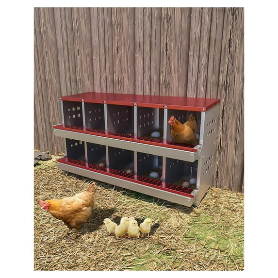 Chicken Nesting Boxes 8 Compartments, Metal Chicken Nesting Boxes ...