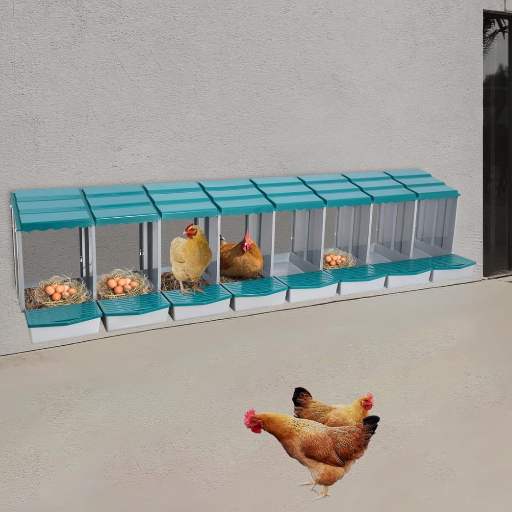 Chicken Nesting Boxes, 8 Holes Wall Mounted Nesting Boxes for Laying ...