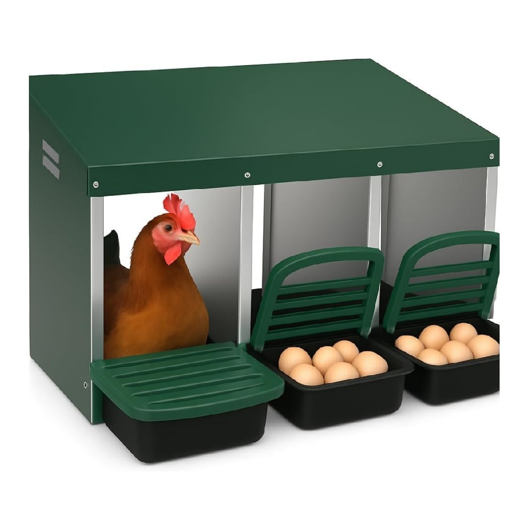 Chicken Nesting Boxes for Chickens, 3 Compartment Metal Roll Out ...