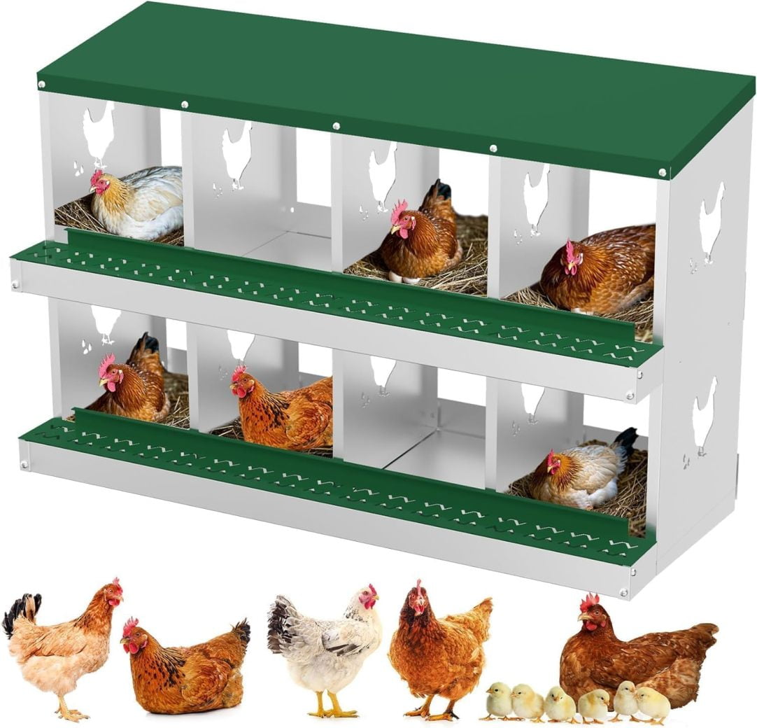 Chicken Nesting Boxes,Metal Chicken Laying Box with 8 Compartments ...