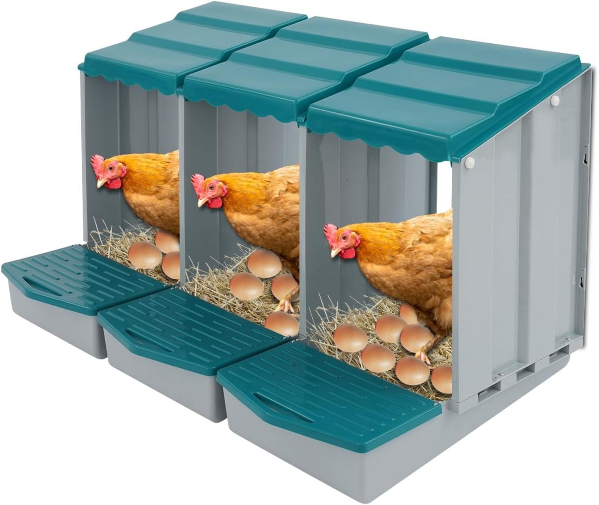 Chicken Nesting Boxes, PP Material Chicken Coop Nesting Boxes with Egg ...