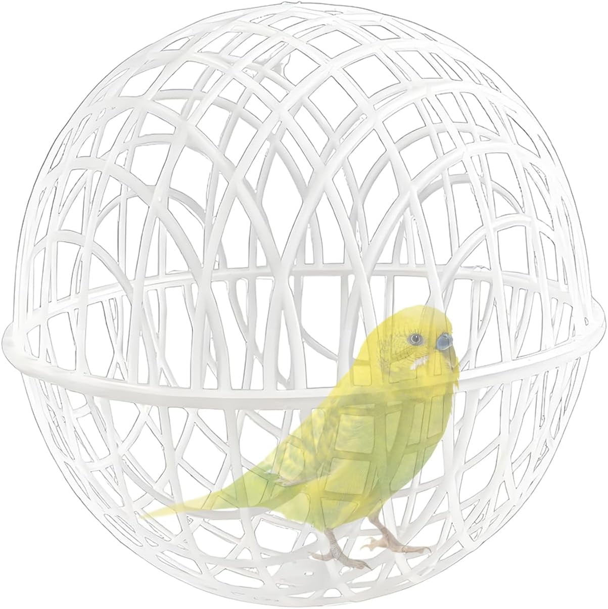 Chicken Orb Ball Cage, Rollable Round Chicken Cage, Movable Walking Net ...