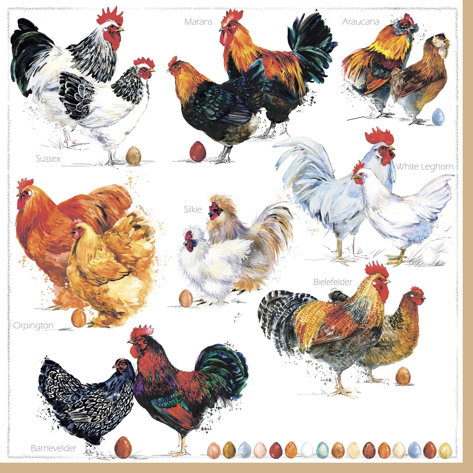 Chicken Paper Napkins CHICKEN COLLECTION 40pcs Lunch Napkins, Rooster ...