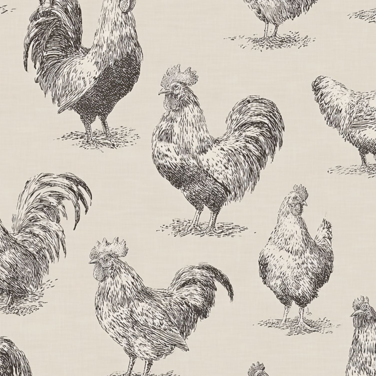 Chicken Peel and Stick Wallpaper Rooster Farm Vintage Engraving Style ...