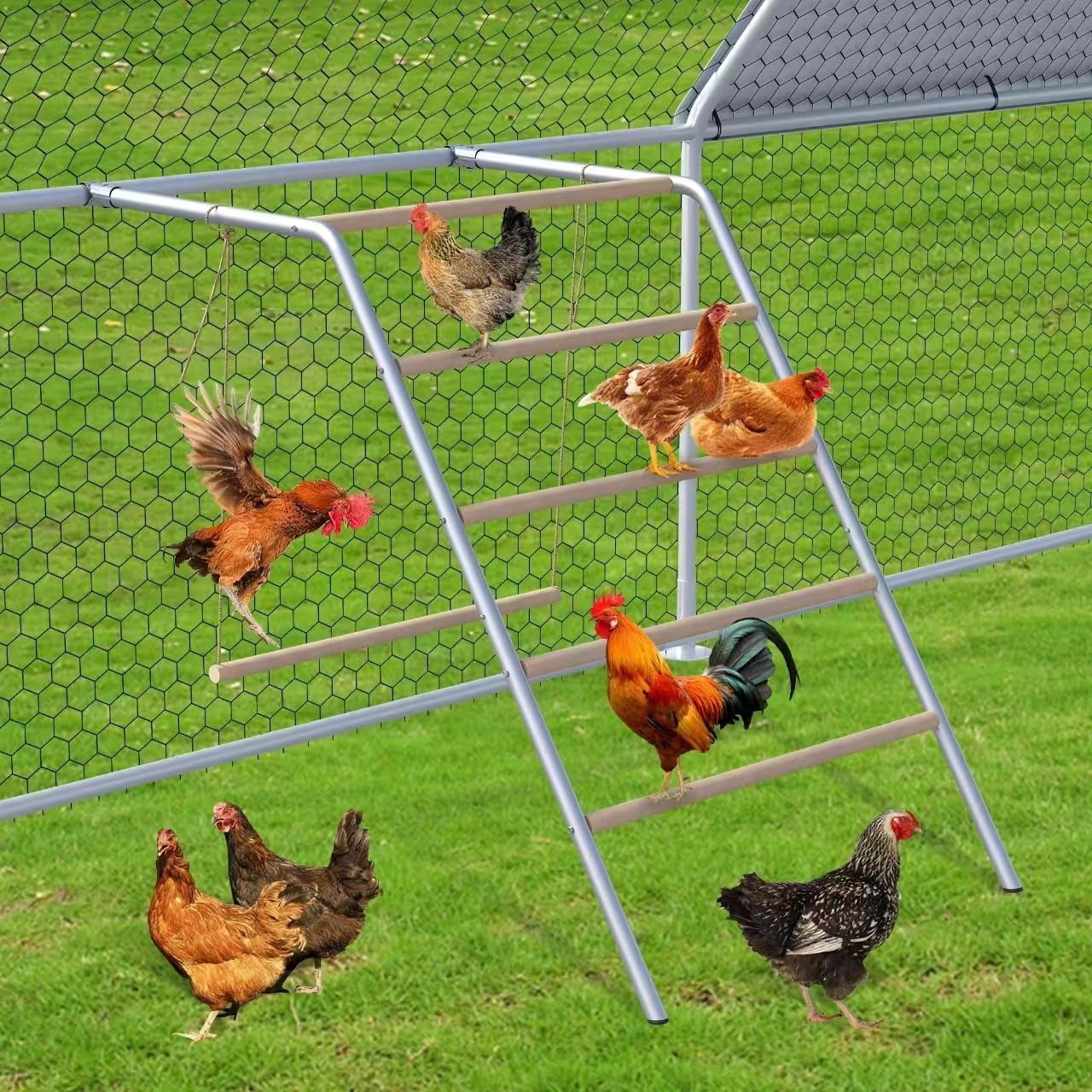 Chicken Perch for Coop with Chicken Swing,Chicken RoostIing Bars ...