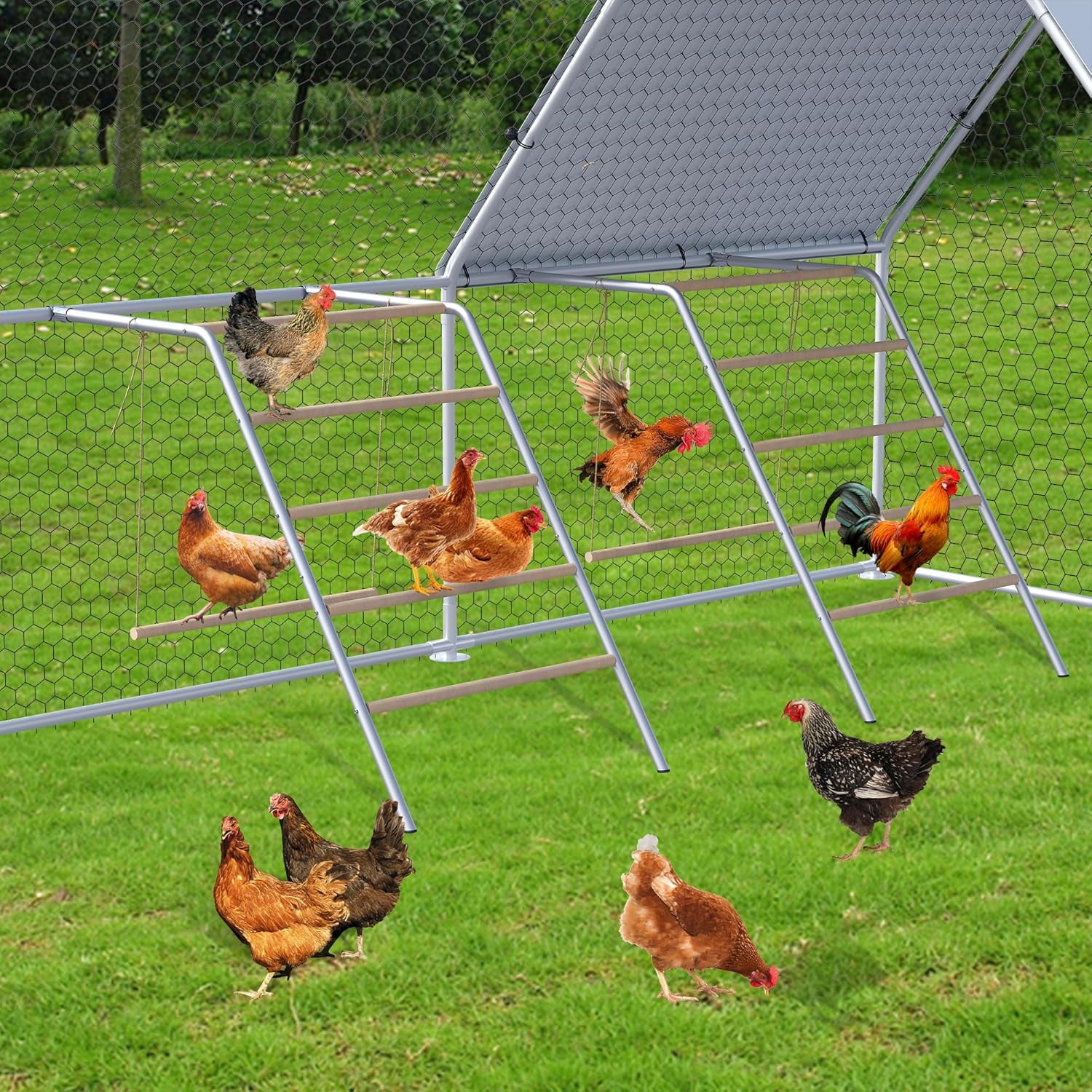 Chicken Perch for Coop with Chicken Swing,Chicken RoostIing Bars ...