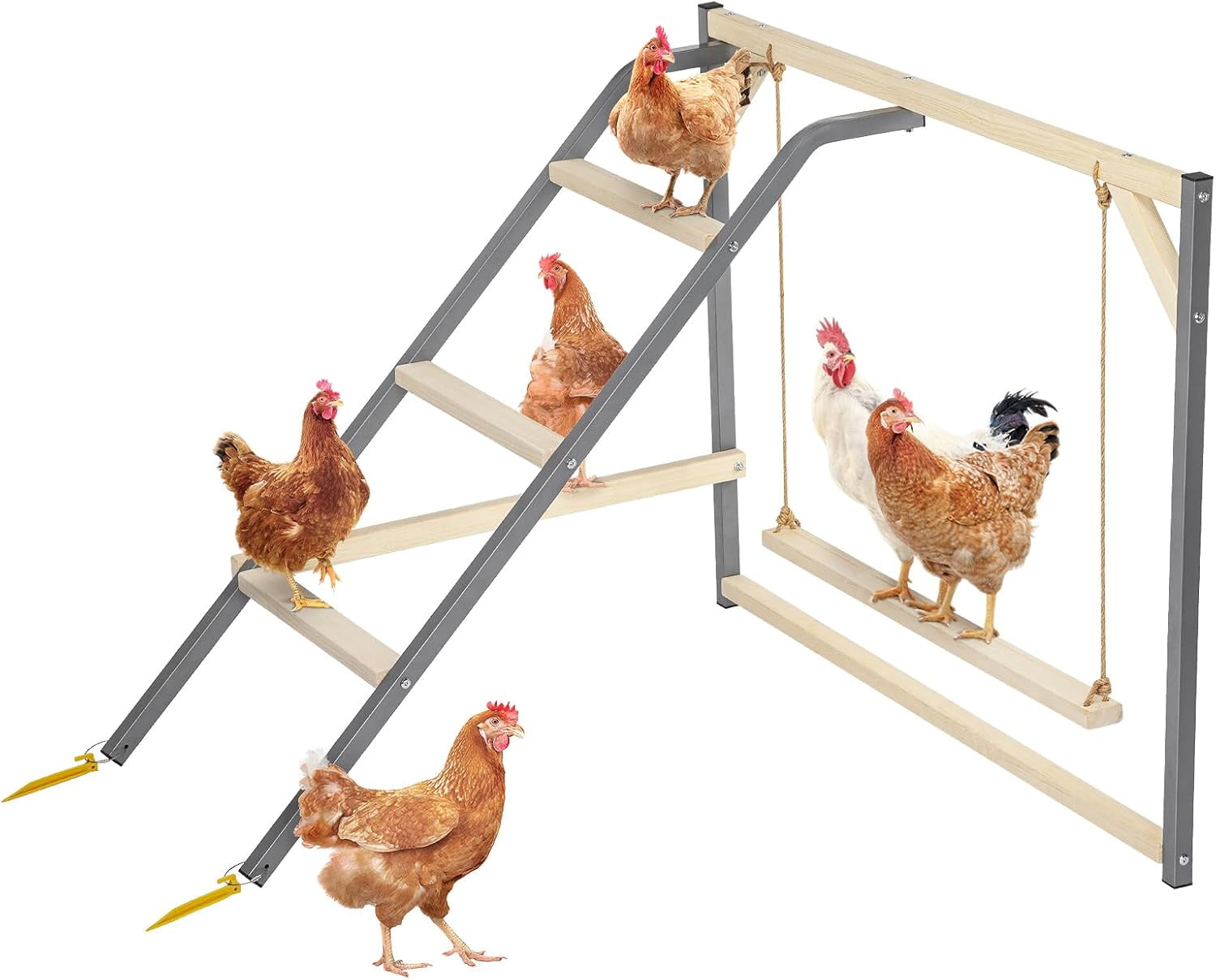 Chicken Perch for Coop-Solid Wood and Rustproof Iron Roosting Bar with ...
