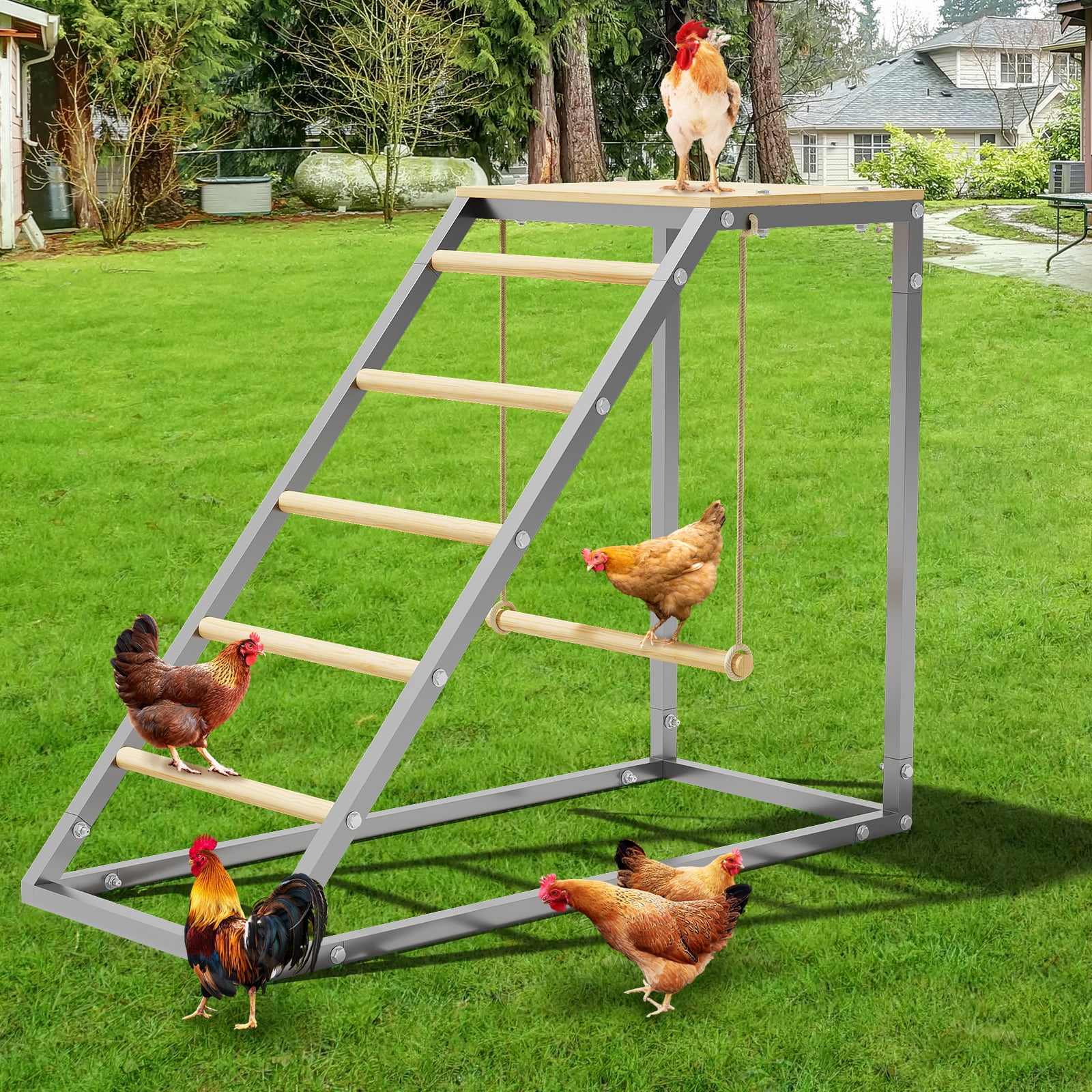 Chicken Perch for Coop with Swing & Ladder - Multi-Level Roosting Bars ...