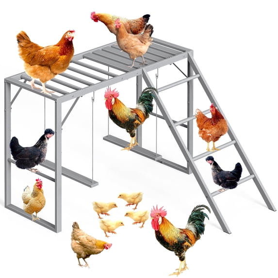 Chicken Perch for Coop with Swing Set, Chicken Activity Play for ...