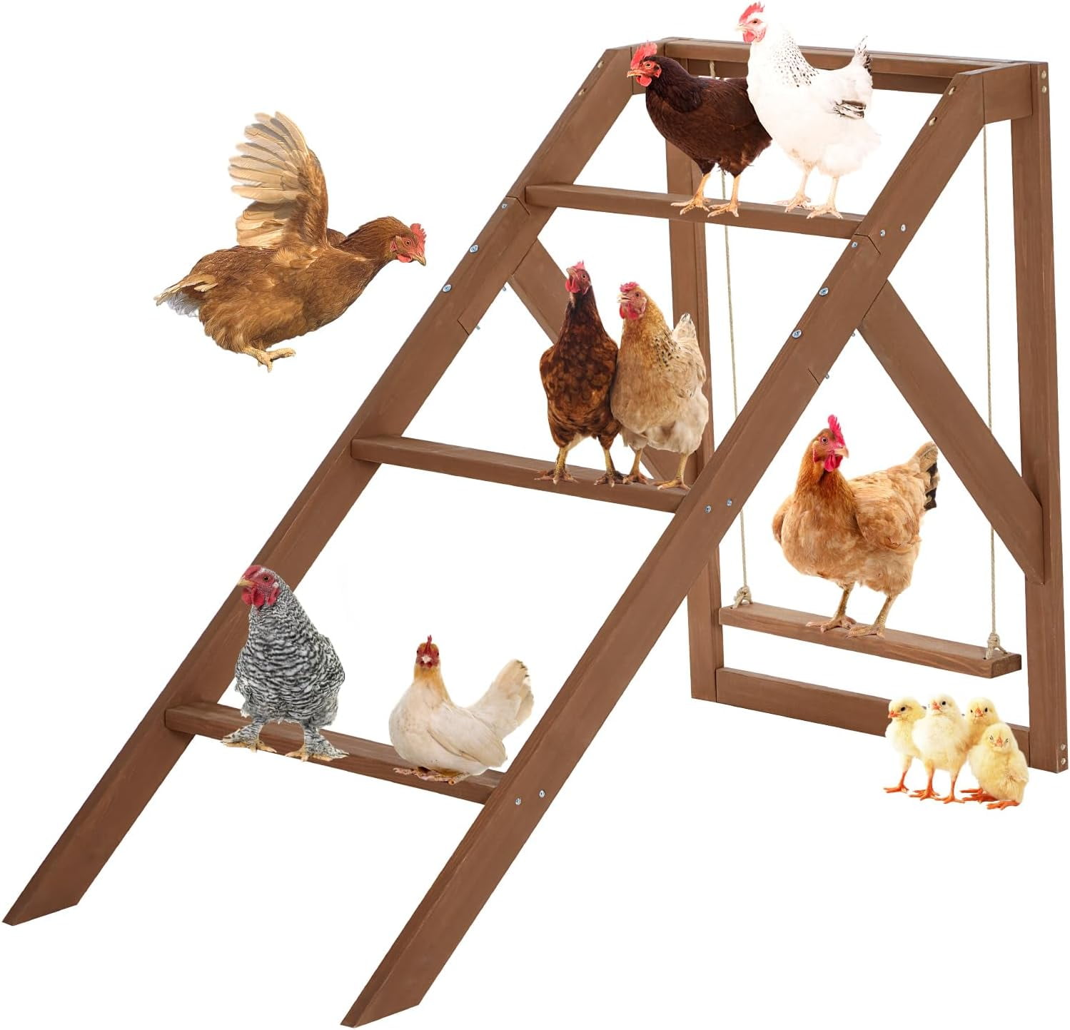 Chicken Perch for Pet's Healthy and Happy,4 Chicken Roosting Bars with ...