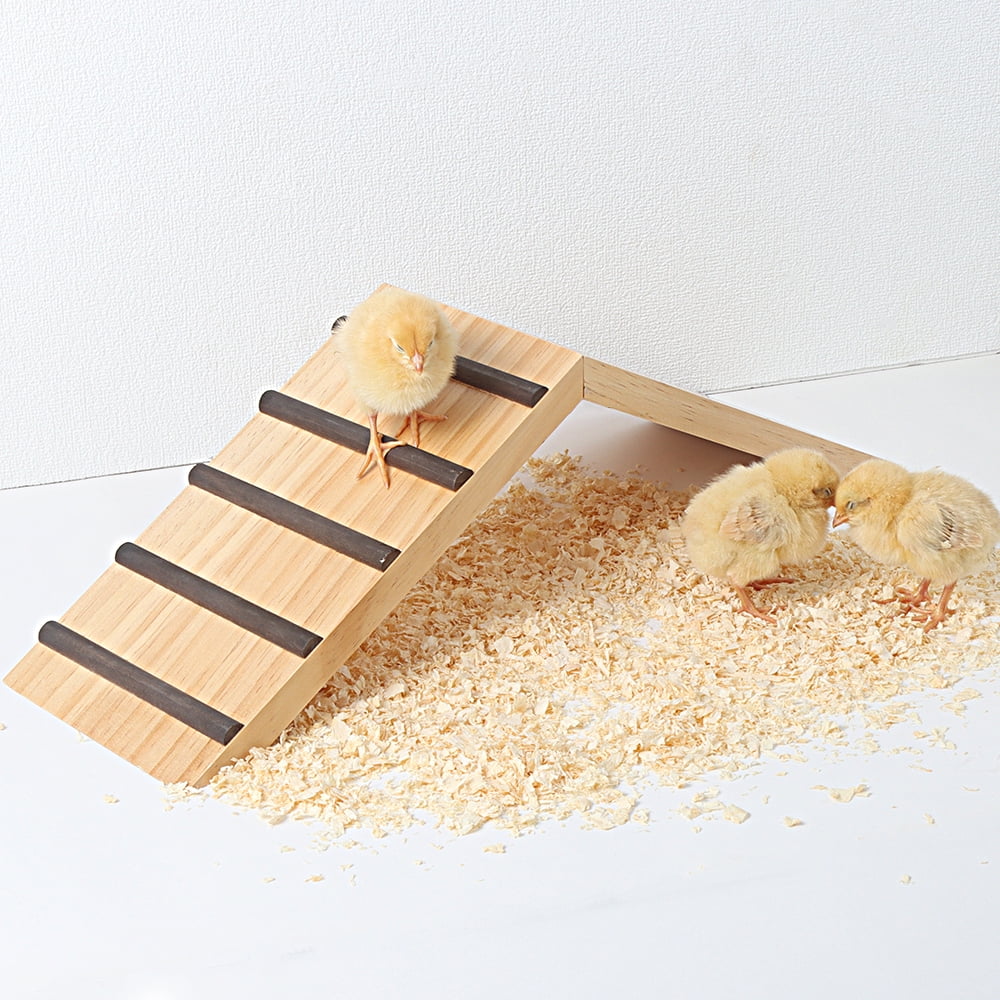 Chicken Perch and Chicken Roost Ramp Trainer, Help Your Baby Chick ...