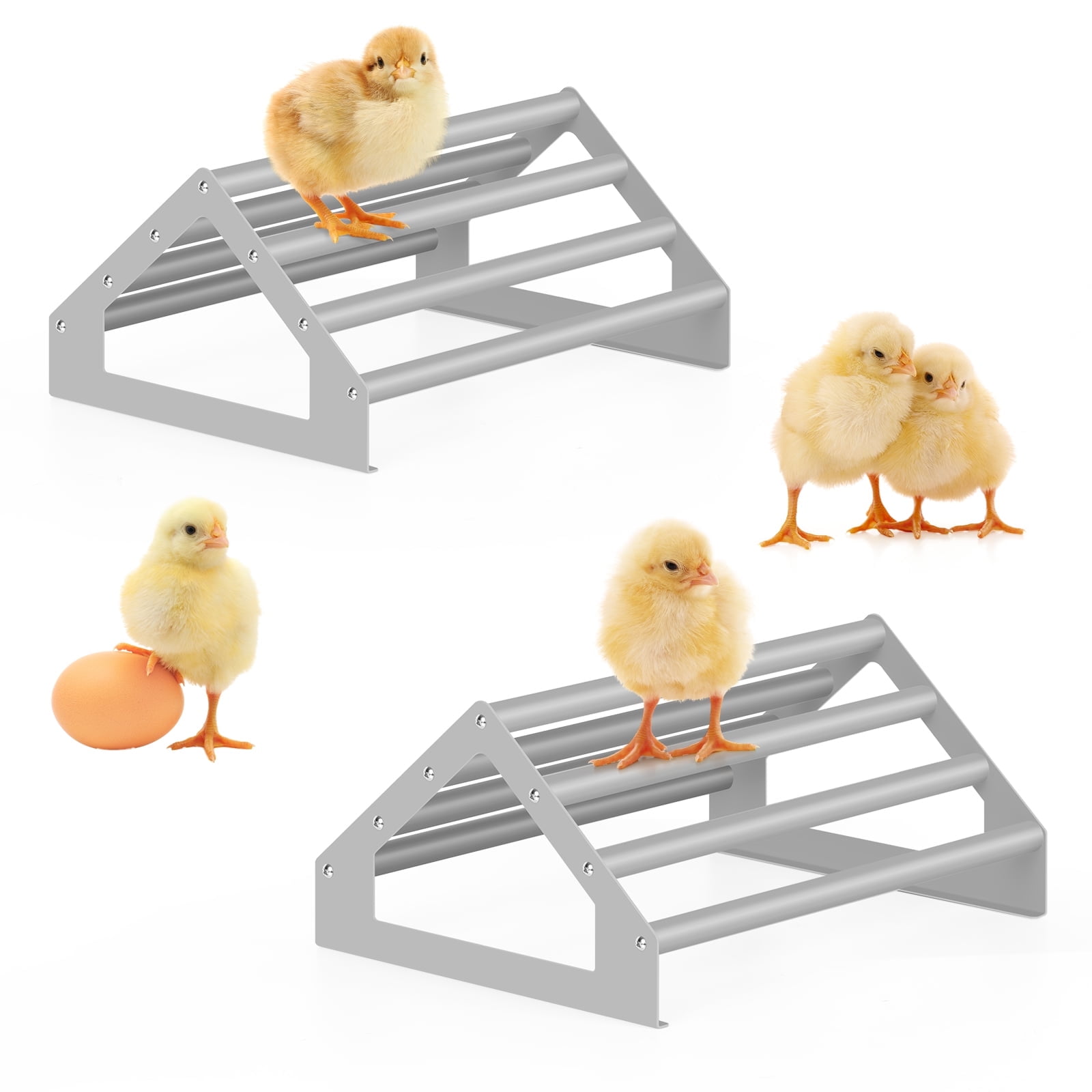 Chicken Perch Roosting, Chick Perch Chick Toys, Roosting Bar Chick ...
