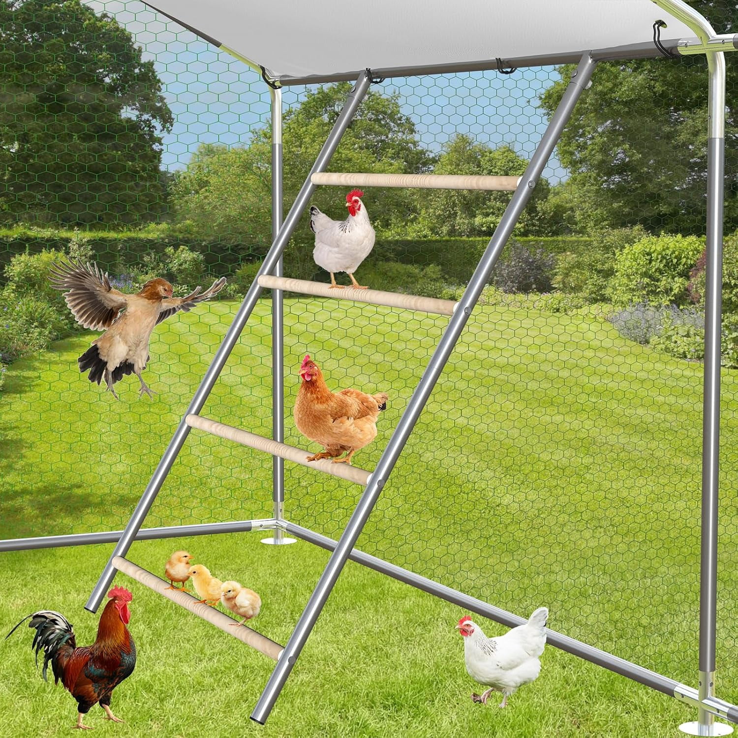 Chicken Perch Set for Chicken Coop, Chicken Roosting Ladder for ...