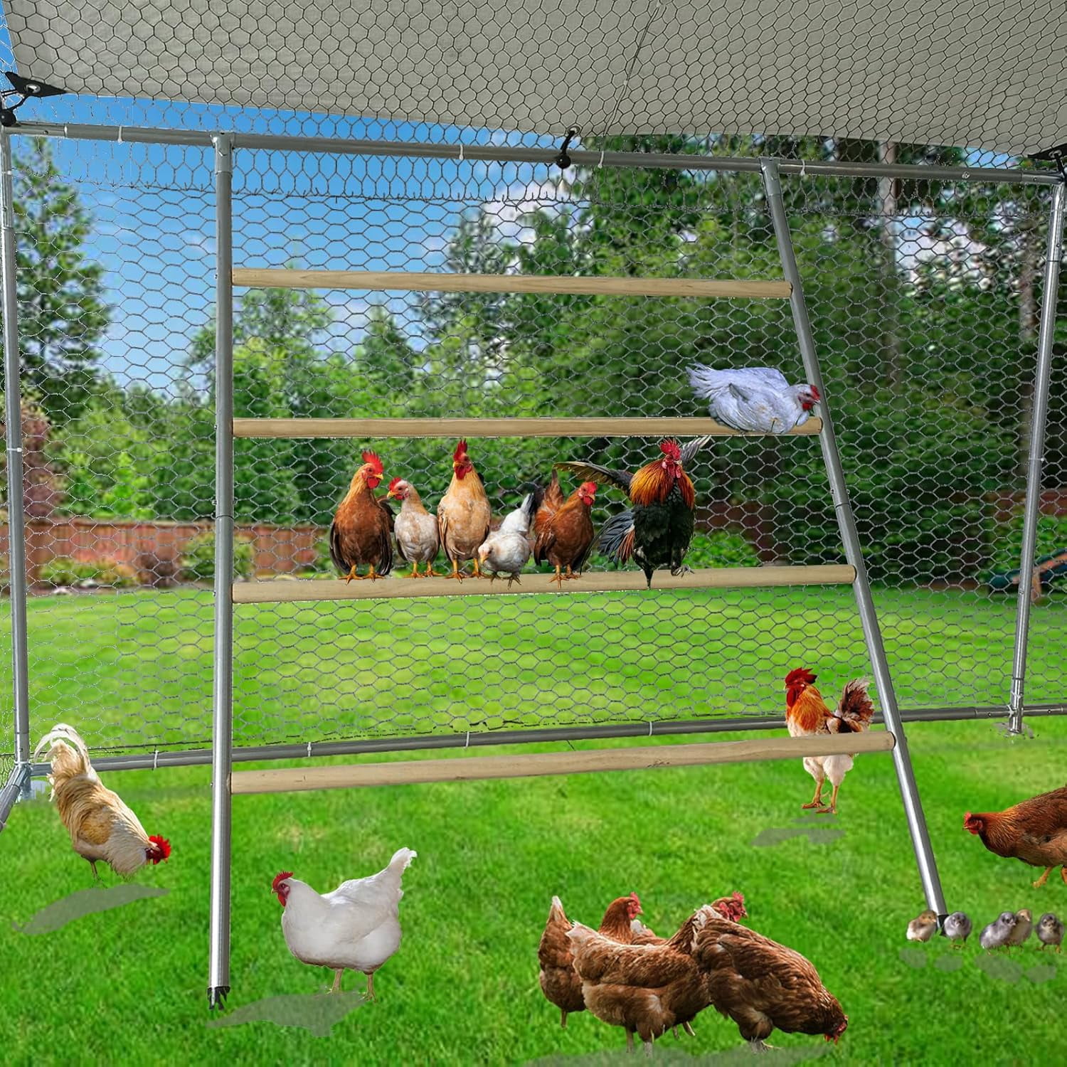 Chicken Perch Set for Chicken Coop, Chicken Roosting Ladder Sturdy and ...