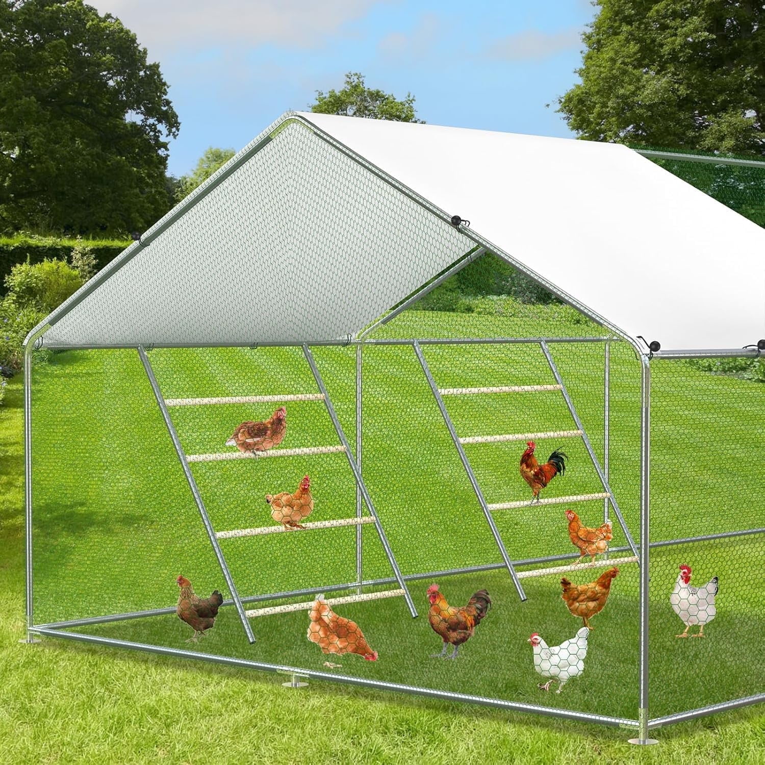 Chicken Perch Set for Chicken Coop, Chicken Roosting Ladder for ...