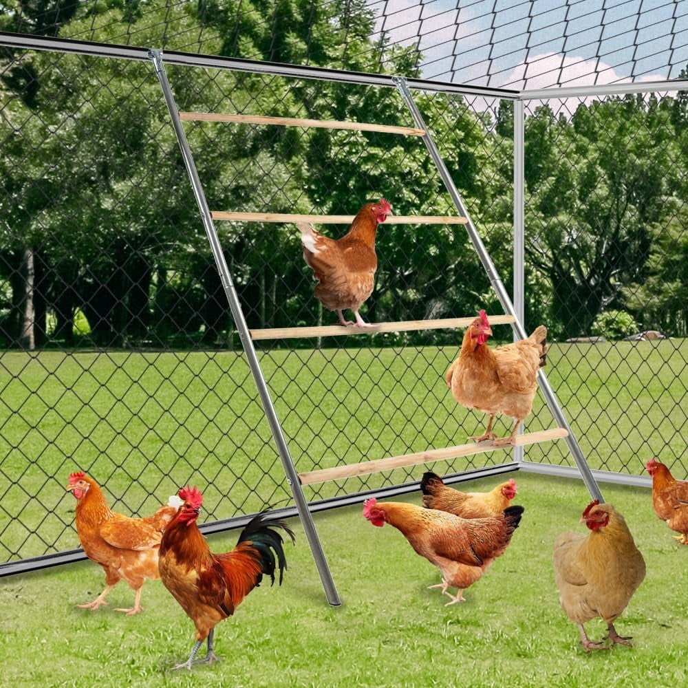 Chicken Perch Stand for Chicken Coop, Chicken Roosting Ladder Sturdy ...
