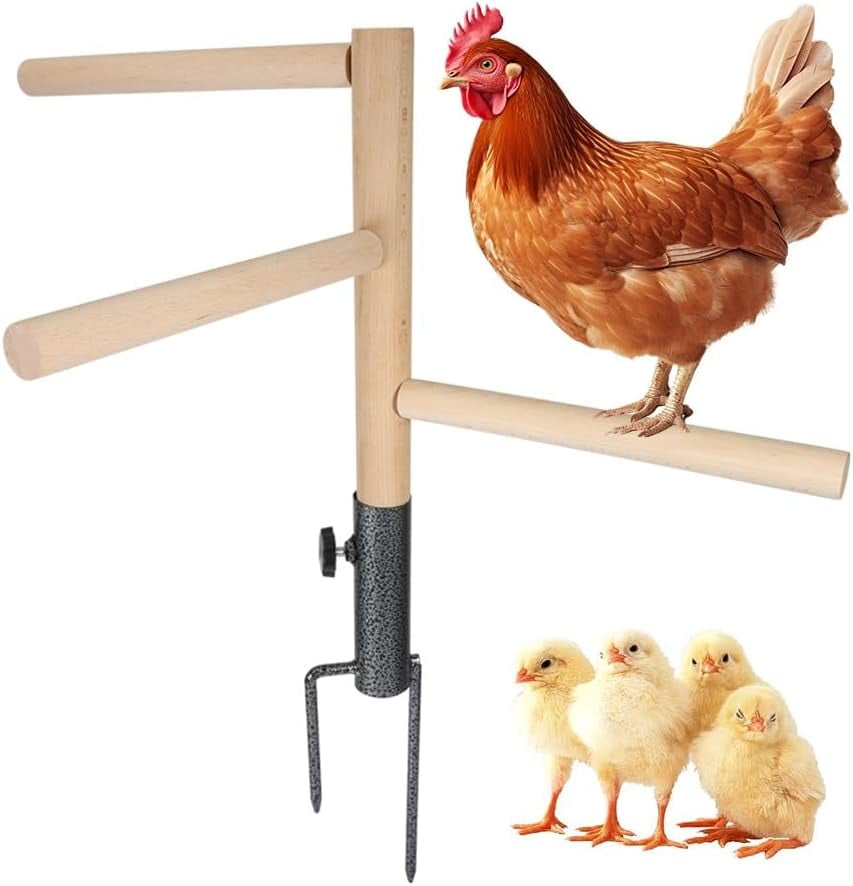 Chicken Perch Toy for Coop, Chicken Perch Stand Wooden with Metal ...