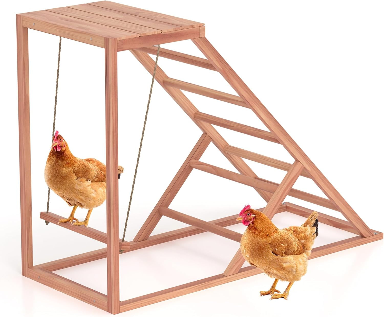 Chicken Perch w/Ladder Swing & Ramp for Coop, Chicken Roosting Bars for ...