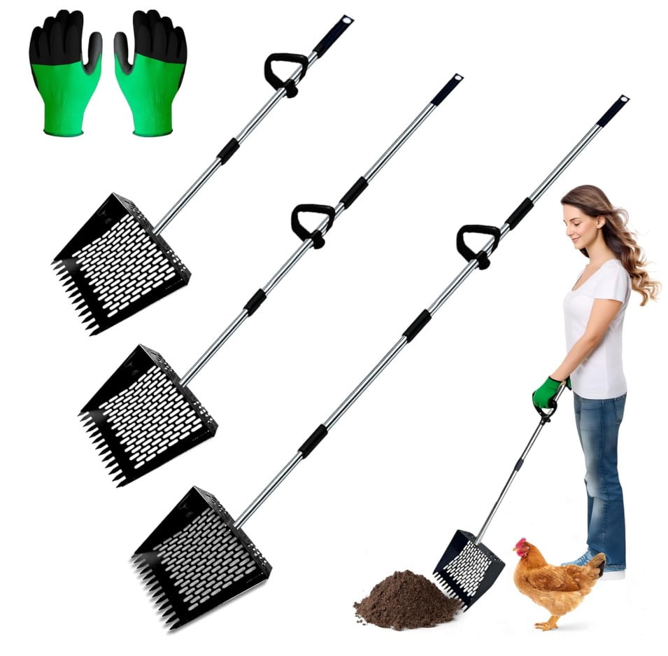 Chicken Poop Scoop & Coop Rake with Gloves – Back-Saving Sand Sifter ...