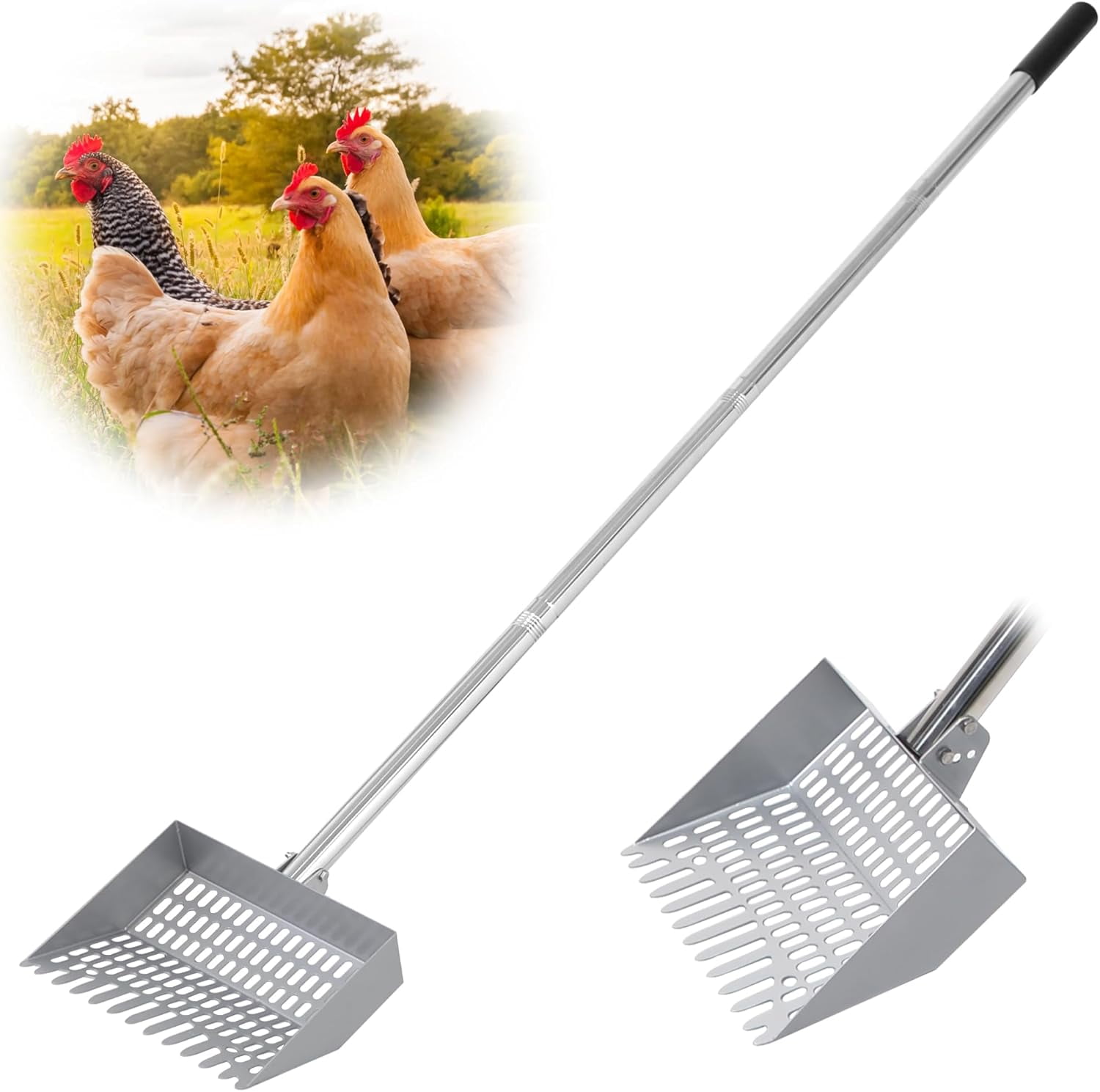 Chicken Poop Scooper Spring Steel Sifting Shovel 38–66" Adjustable ...