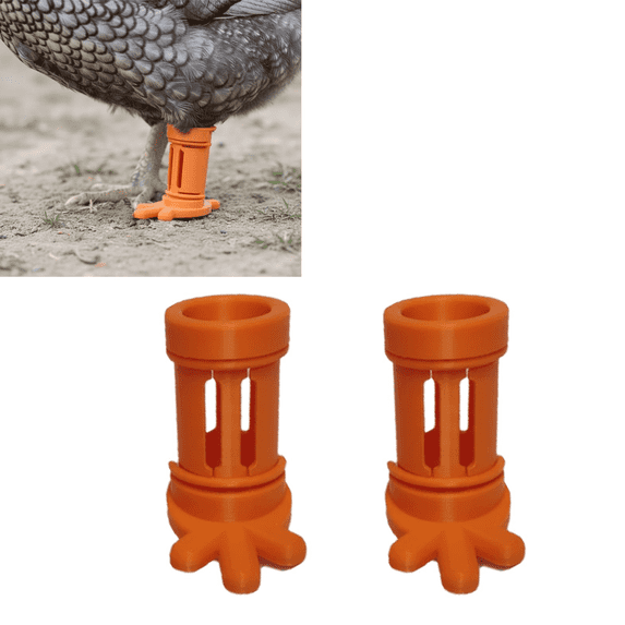 Chicken Prosthetic, Hen Mobility Aid Support Brace, Bird Leg Prosthesis ...