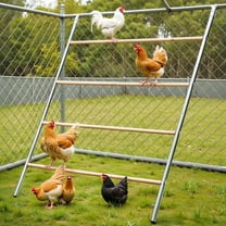 Ruike Sturdy Wooden Chicken Perch Toy with Metal Ground Stake - Coop ...