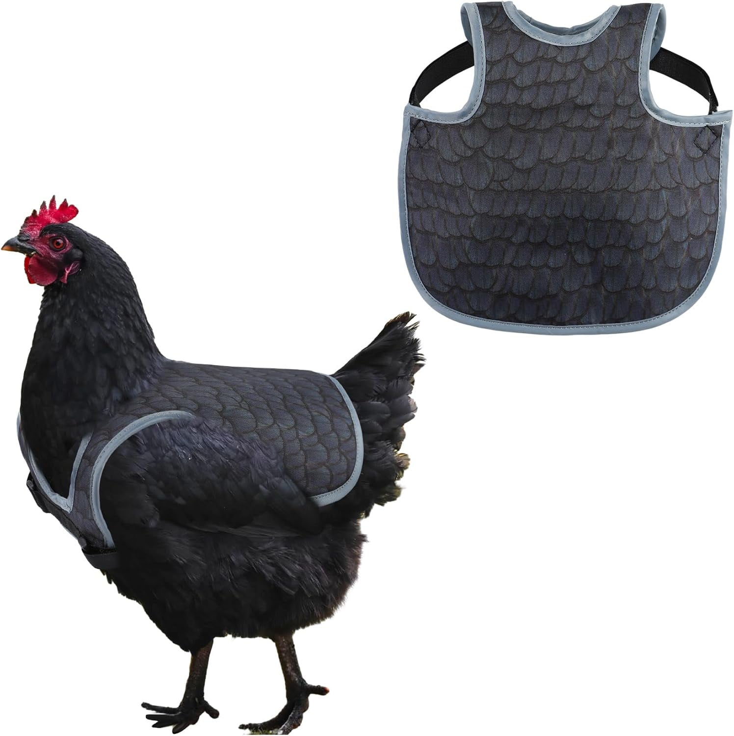 Chicken Saddle and Back Protector for Hens, Apron With Adjustable ...
