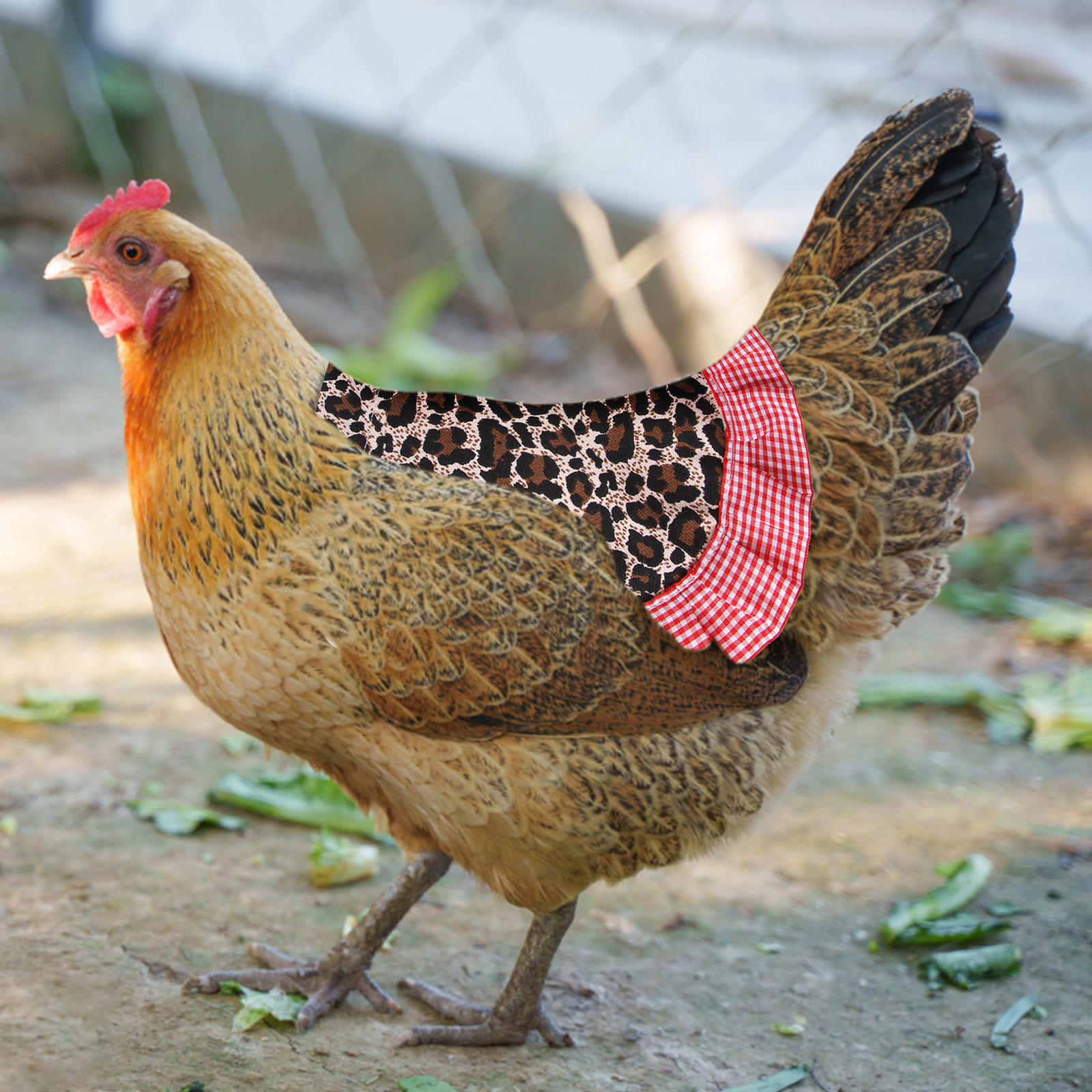 Chicken Saddle Hen Apron With Elastic Straps Hen Feather Fixer Wing ...