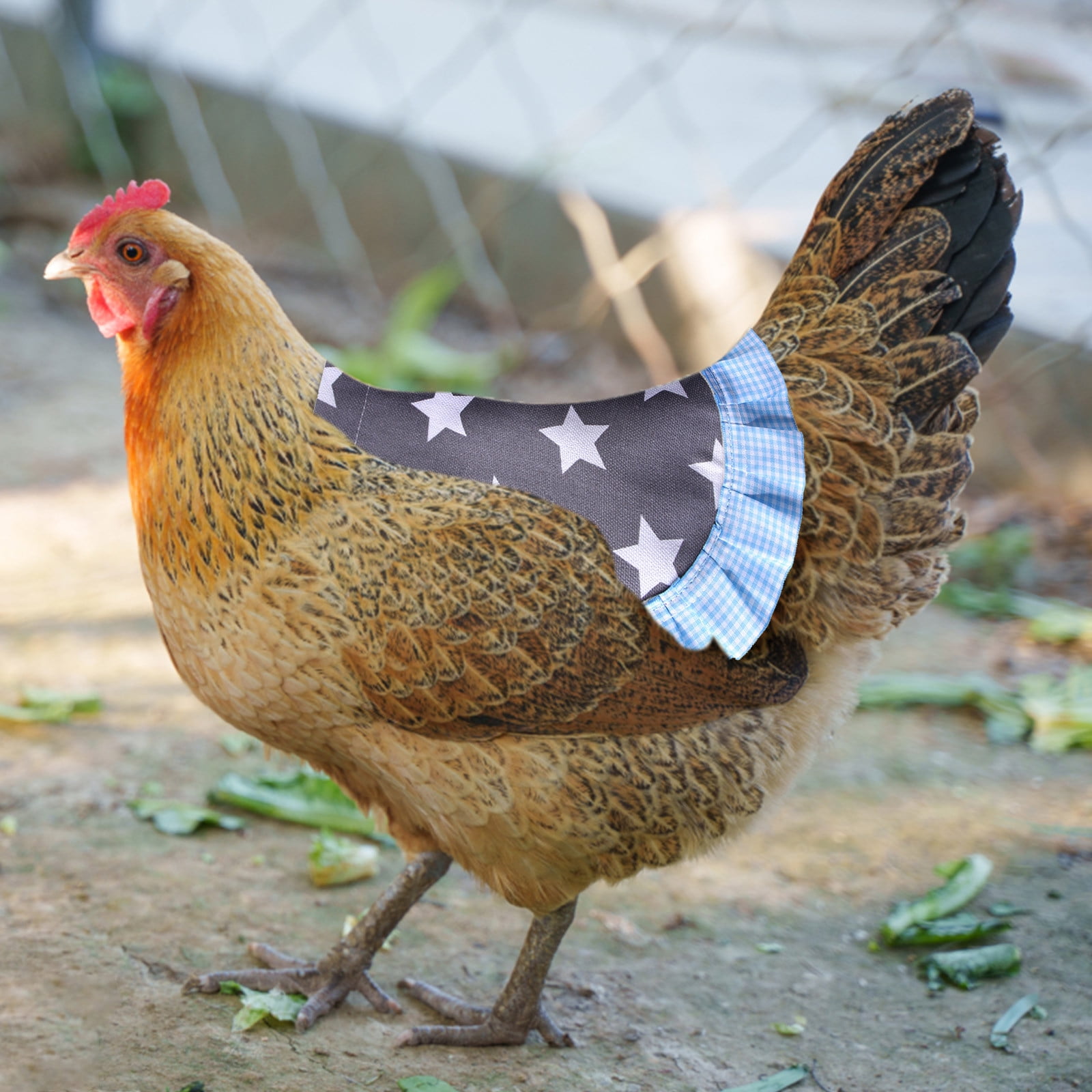 Chicken Saddle Hen Apron With Elastic Straps Hen Feather Fixer Wing ...